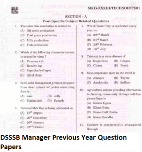 DSSSB Manager Previous Year Question Papers Download PDF