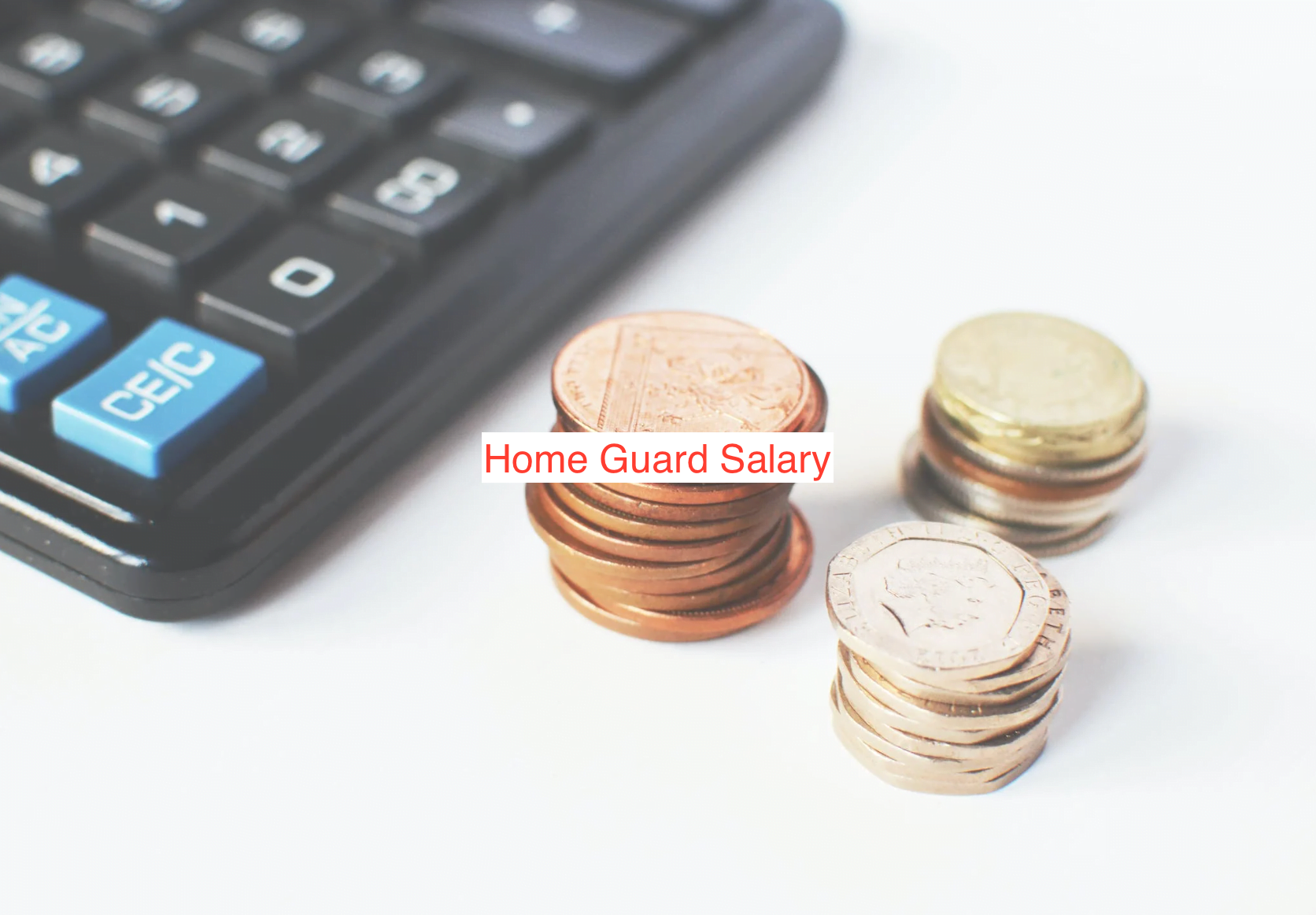 Home Guard Salary 2023 Per Month In-hand Check Now