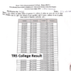 TRS College Result 2025 Check Online @www.rscollegerewa.org {Link Out}